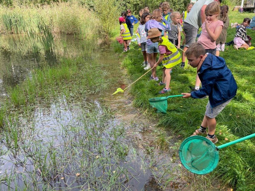 Wateronderzoek: op zoek naar waterbeestjes | Lieteberg